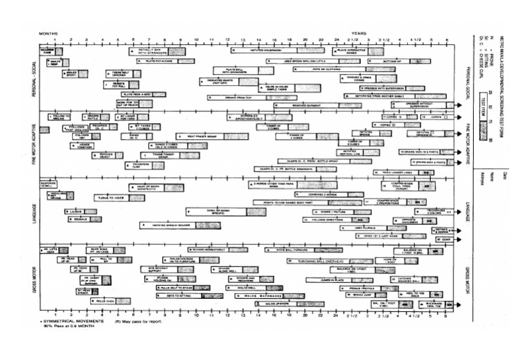 MMDST Test Form | PDF