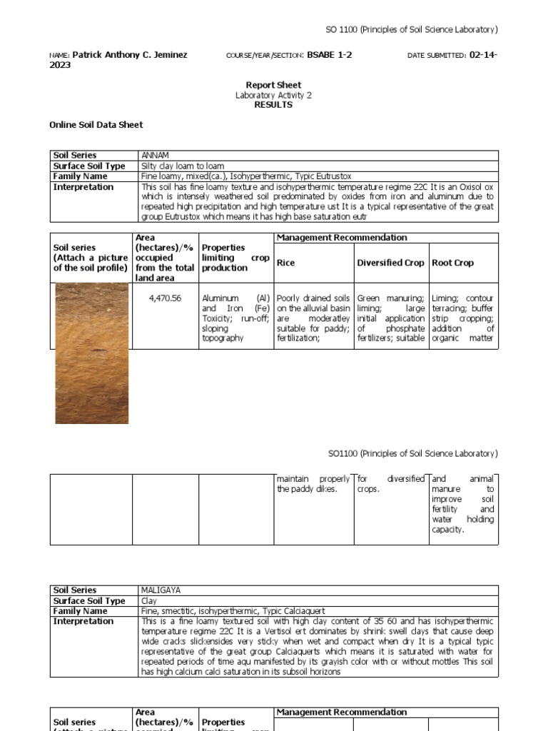 Activity 2 Report Sheet | PDF | Soil | Soil Fertility