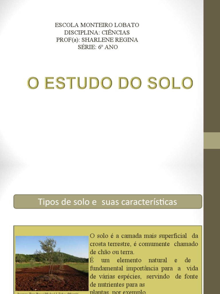 O Estudo Do Solo | PDF | Solo | Intemperismo