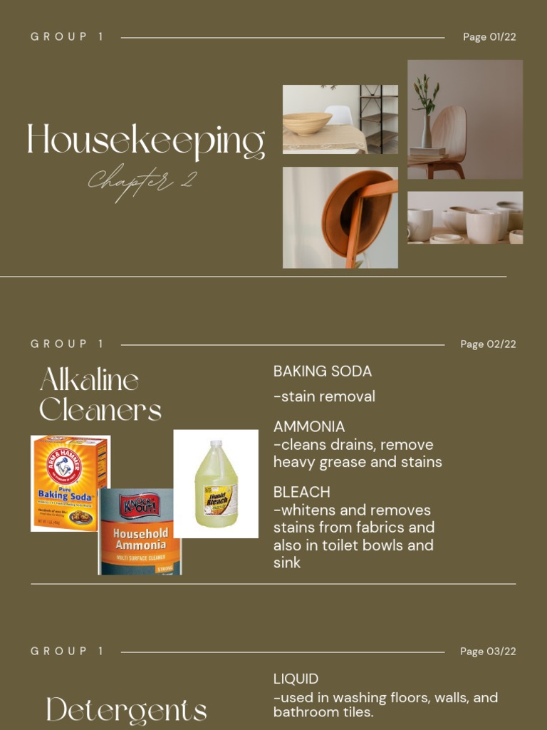 Housekeeping Cleaning Agents Overview | PDF | Vacuum Cleaner ...