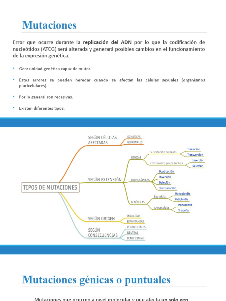 Tipos de Mutaciones Genéticas y Efectos | PDF | Mutación | Gene