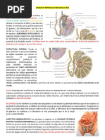 2.7. Exploración Testicular. 2.8. Escroto. 2.9. Técnicas y Maniobras de ...