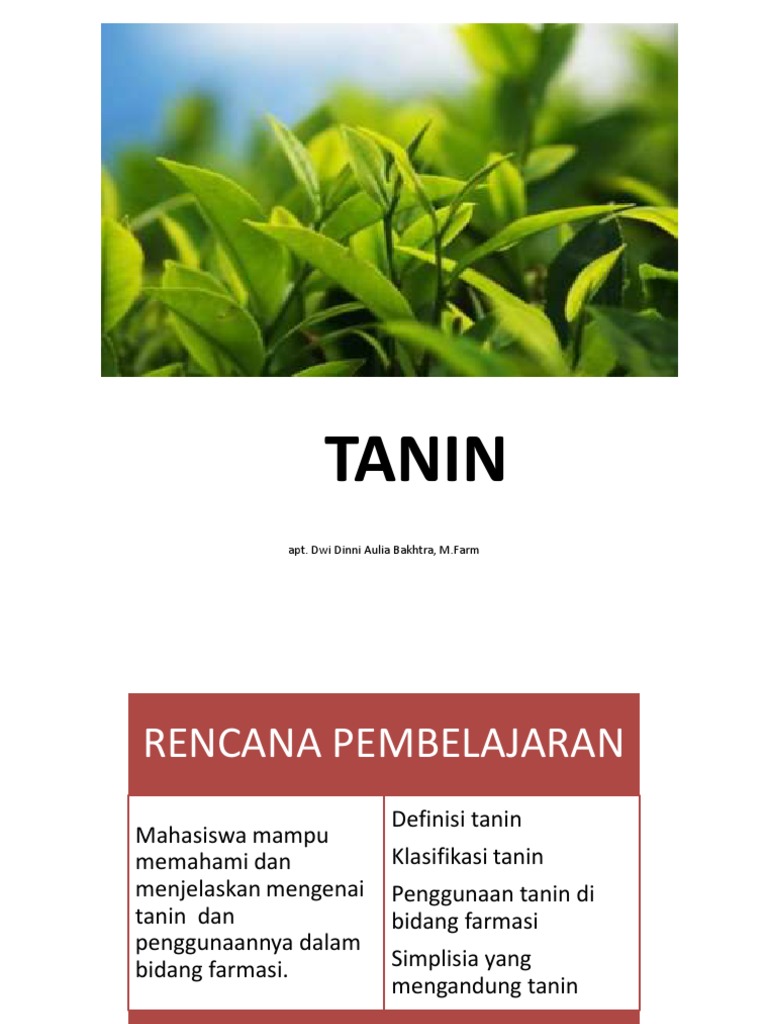 7 Tanin | PDF