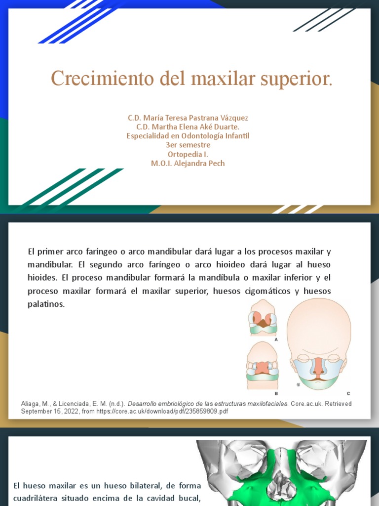 Crecimiento Del Maxilar Superior. | PDF | Cabeza y cuello humanos ...