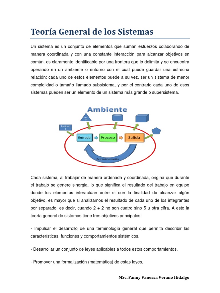 Teoria General de Los Sistemas | PDF | Sistema | Teoría de sistemas
