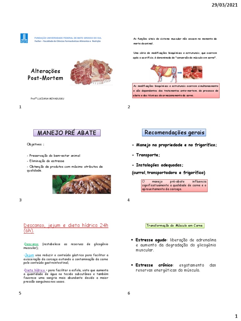 TC I - 003.2 - MV - Rigor Mortis v2 | PDF | Músculo esquelético | Carne