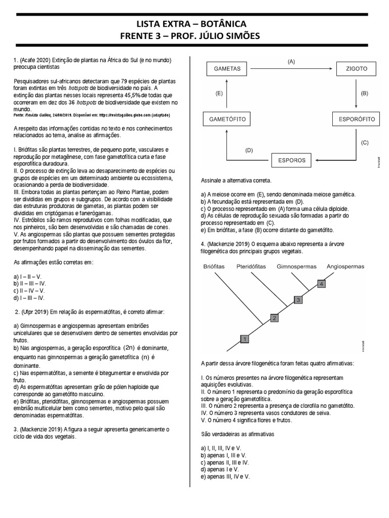 Lista Extra - Revisão de Botânica | PDF | Plantas | Raiz