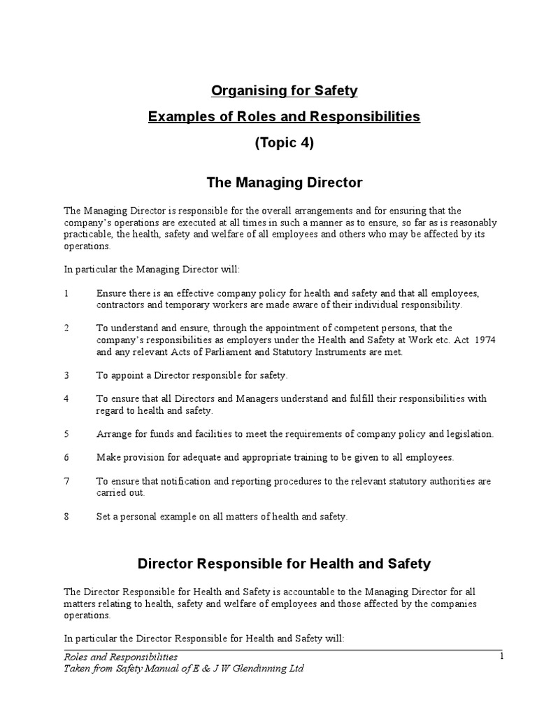 Organising For Safety - Examples of Roles and Responsibilities | PDF ...