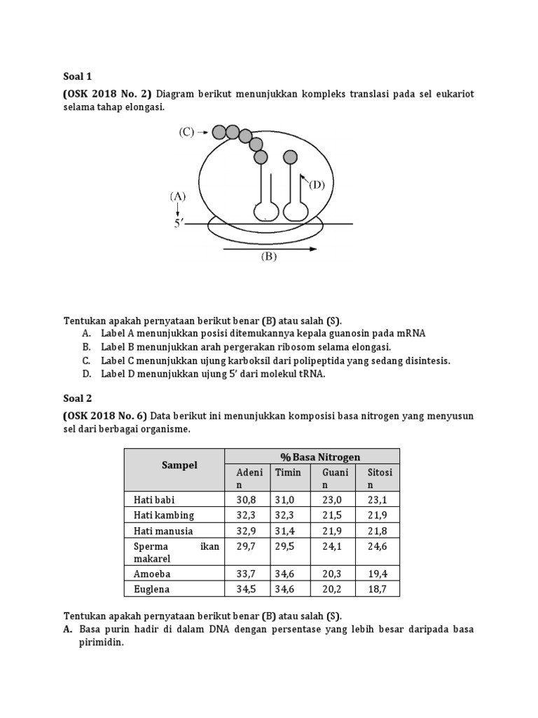 Analisis Komposisi Basa DNA dan RNA | PDF | Sains & Matematika