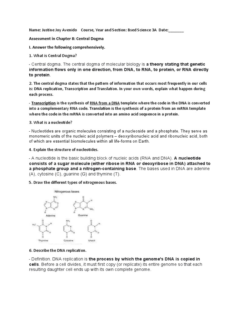 Activity 8 | PDF | Dna | Nucleotides