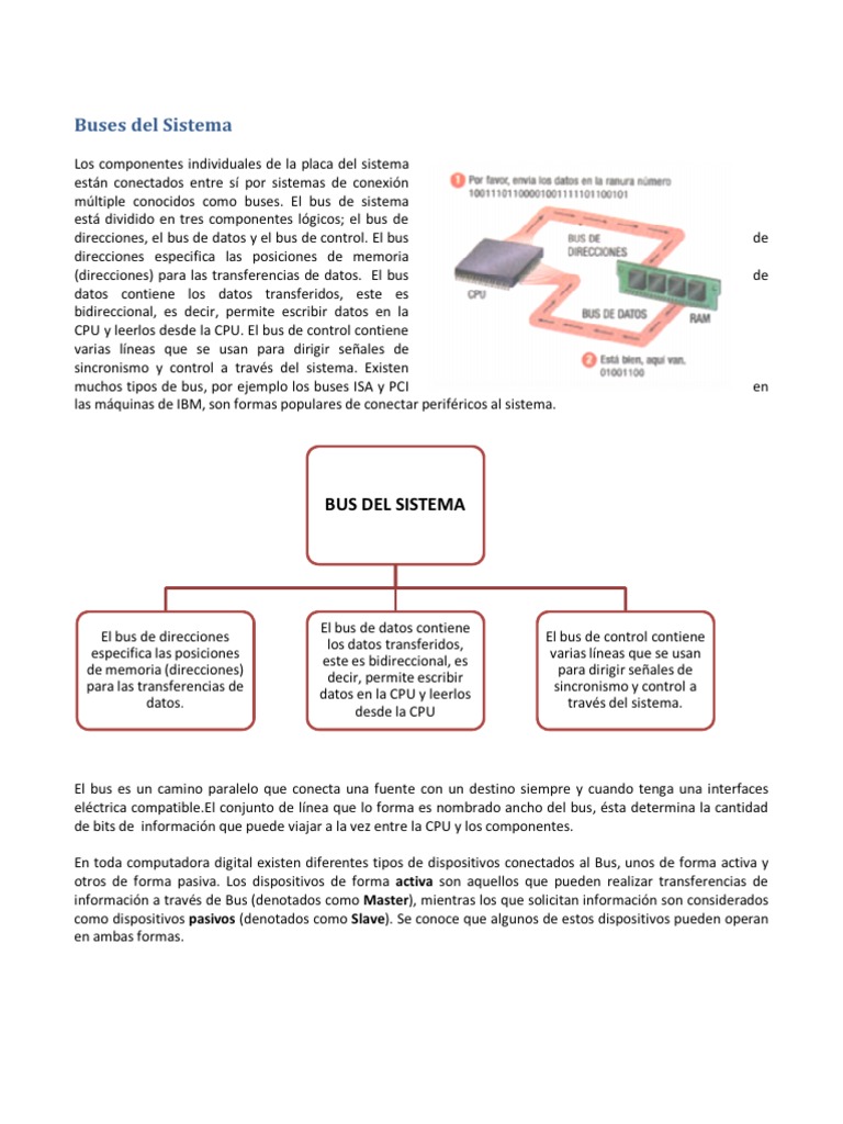 Buses Del Sistema | PDF | Memoria del ordenador | Memoria de sólo lectura