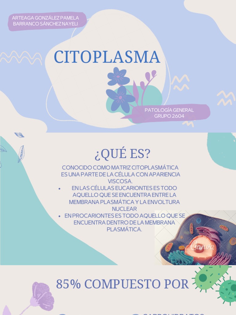 Citoplasma | PDF | Citoplasma | Biología Celular)