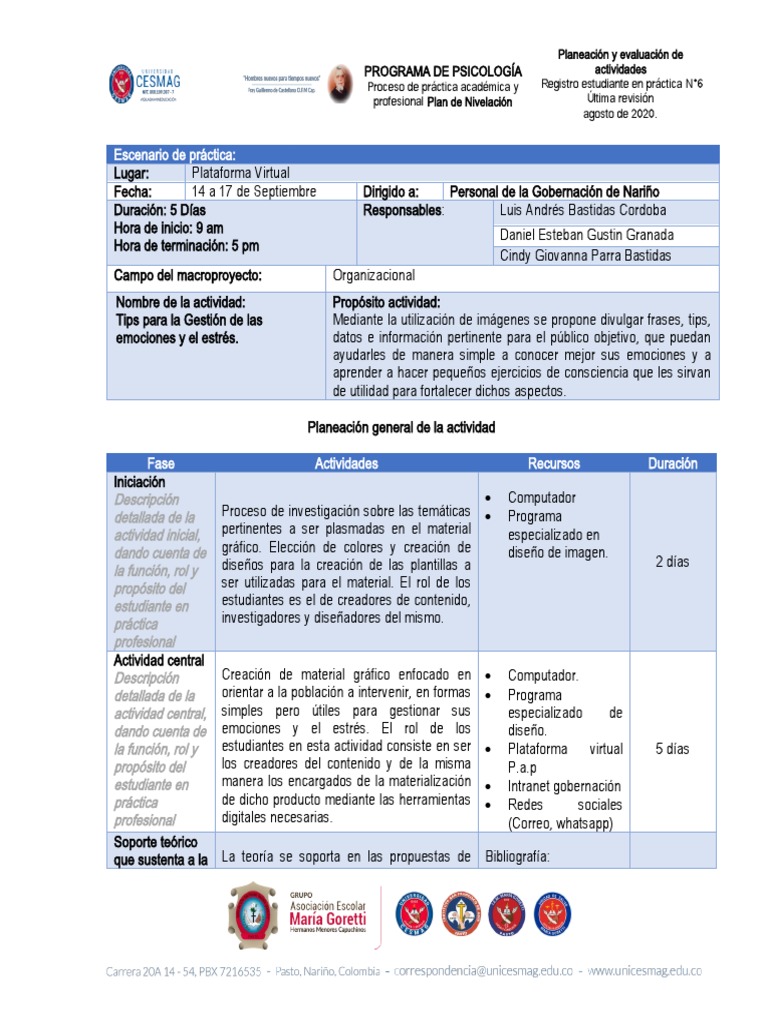 Formato Practica Profesional Pdf Evaluación Planificación