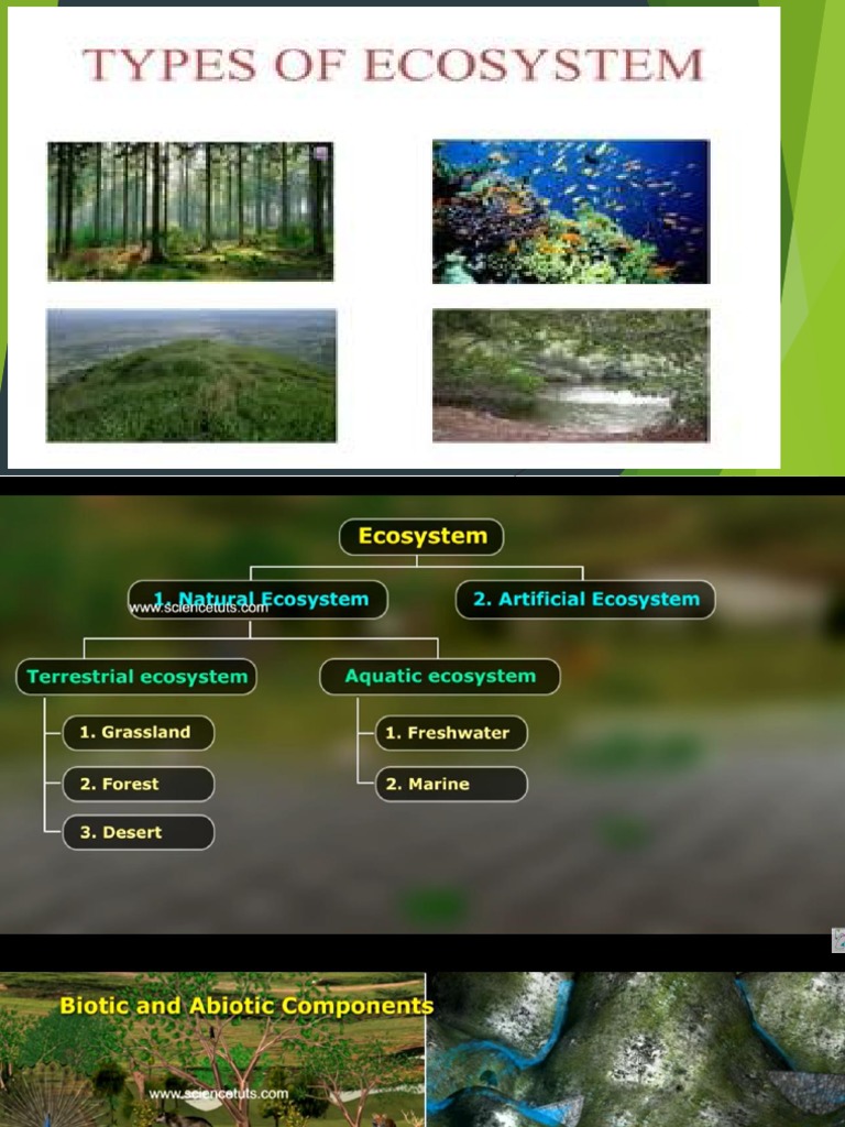Types of Ecosystem | PDF