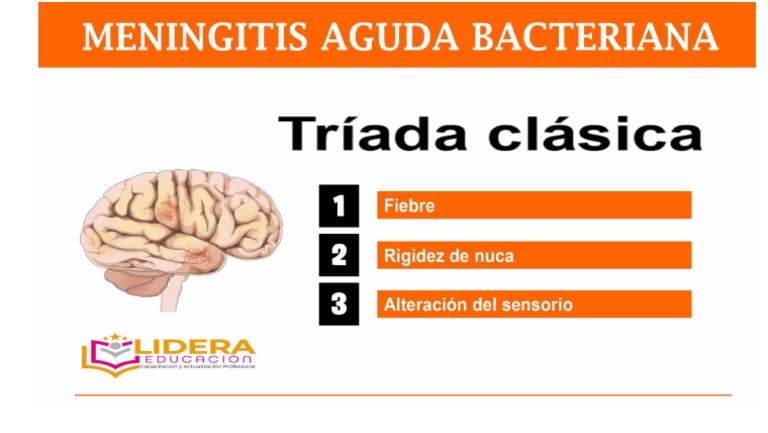 Triada de Clasica | PDF