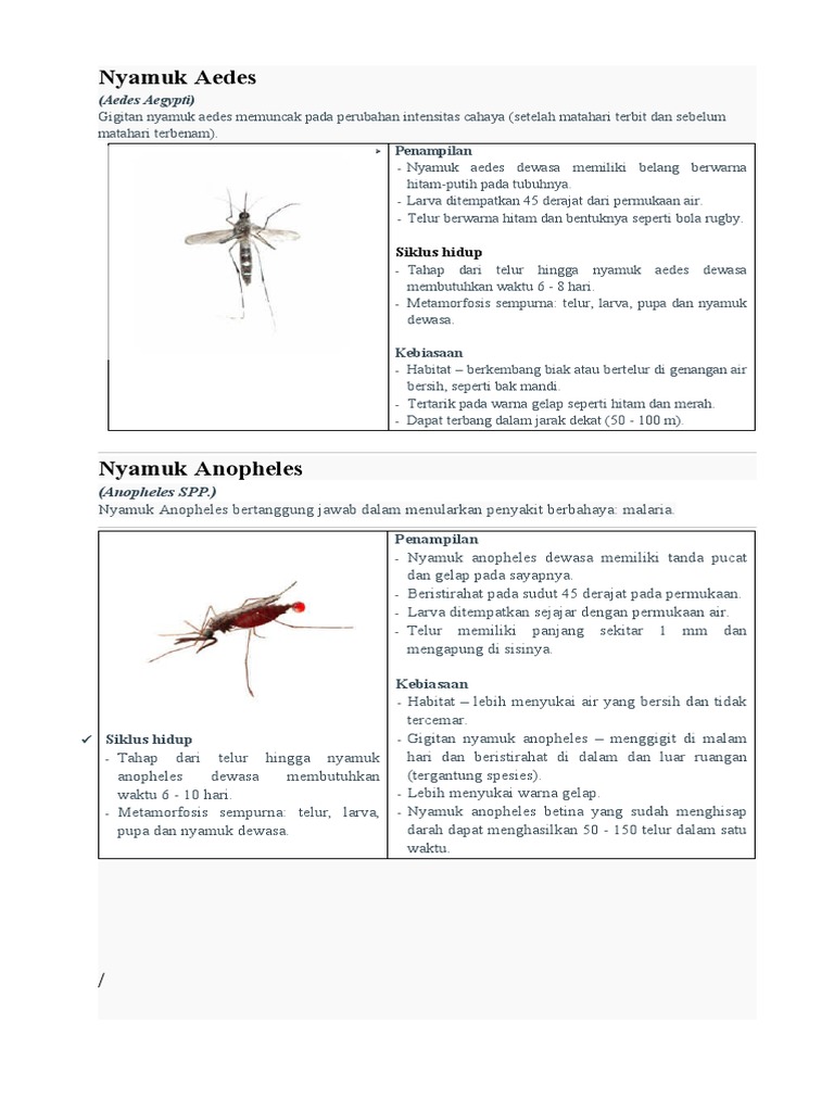 Jenis Jenis Nyamuk | PDF Jenis Jenis Nyamuk | PDF