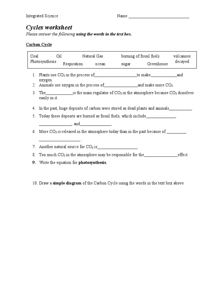Cycles Worksheet | PDF | Carbon Dioxide | Oxygen