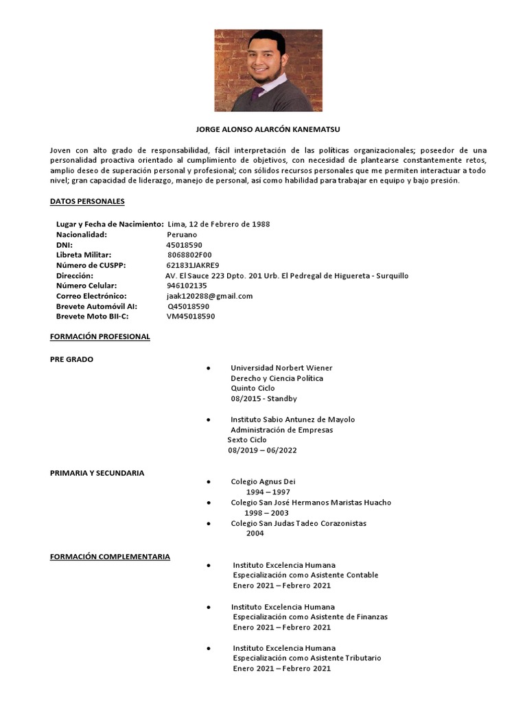 Perfil Profesional de Jorge Alonso Alarcón | PDF | Business | Economias