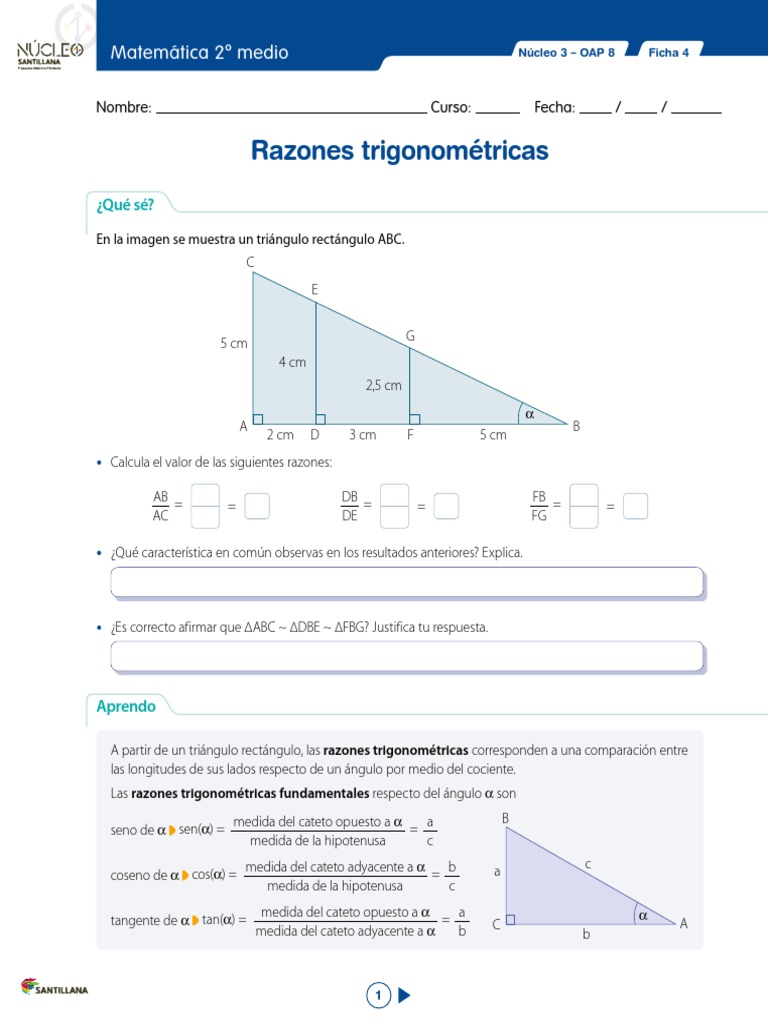 Razones Trigonometricas | Descargar gratis PDF | Funciones trigonométricas | Trigonometría