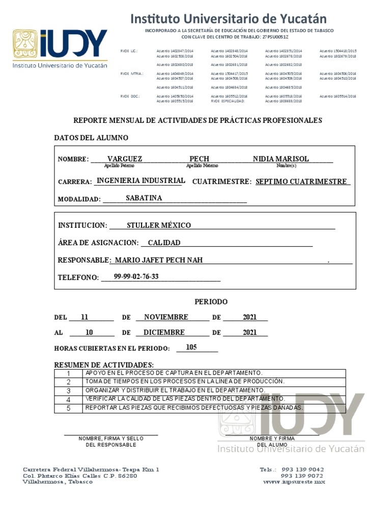 Reporte Mensual Practicas Noviembre y Diciembre | PDF