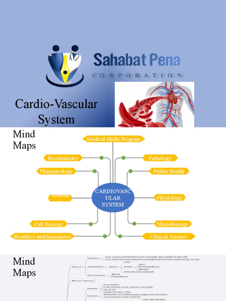 Mind Map Cardiovascular System | PDF | Heart | Angiology