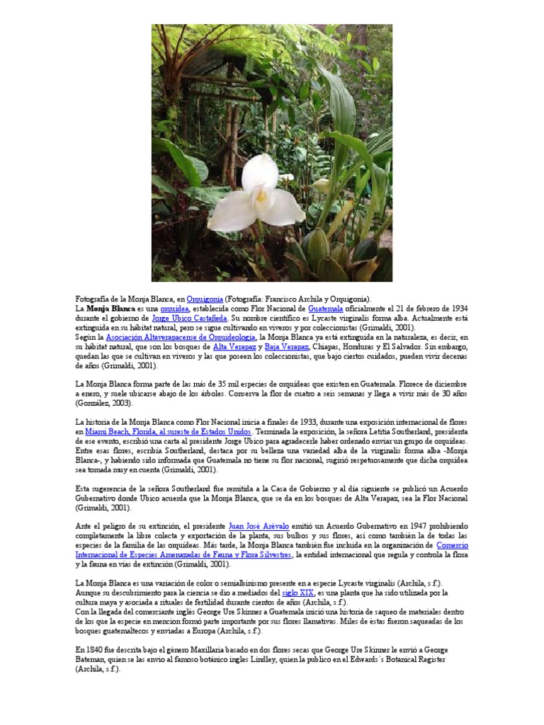 Fotografía de La Monja Blanca | PDF | Guatemala