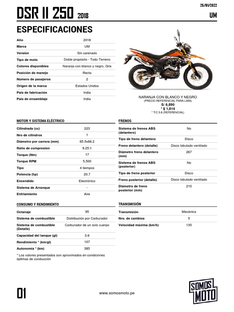 Especificaciones UM DSR II 250 2018 | PDF | Carburador | Tecnología de ...