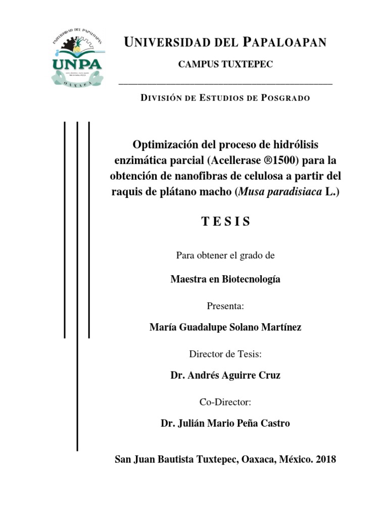 Mb32 - Solano Martinez Maria Guadalupe | PDF | Glucosa | Polímeros