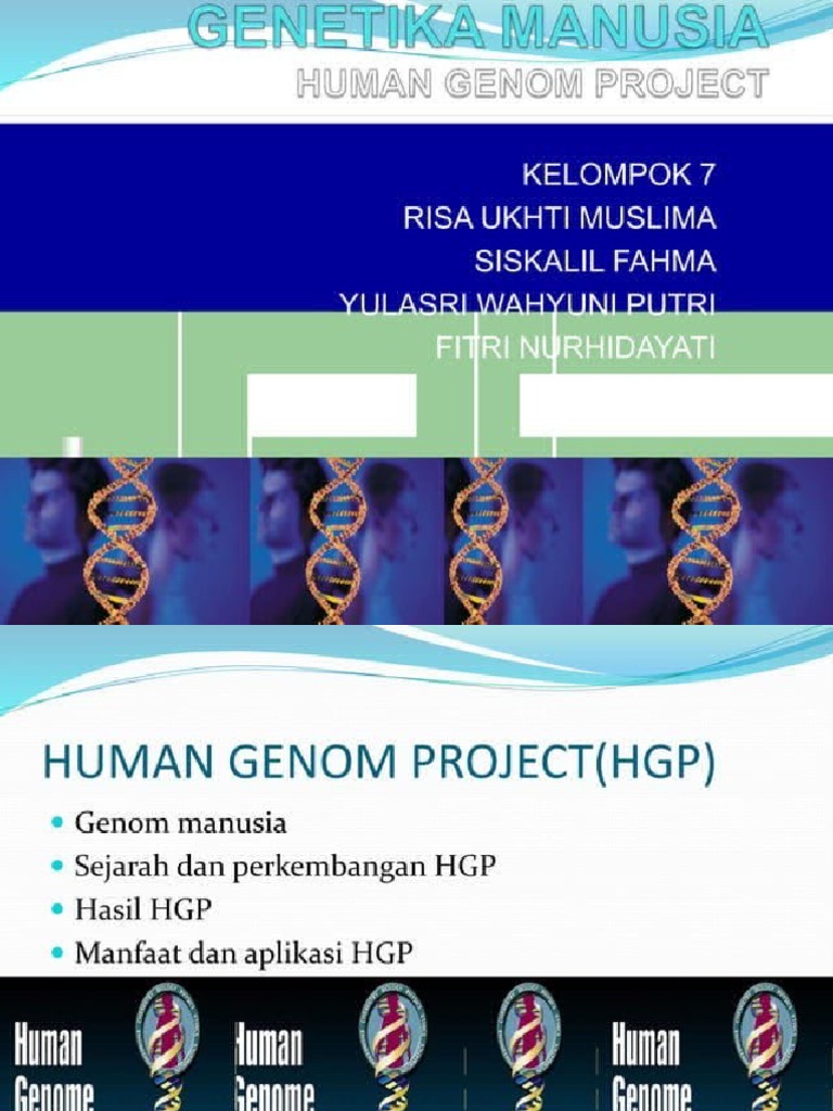 Genetika Manusia KLP 7 | PDF