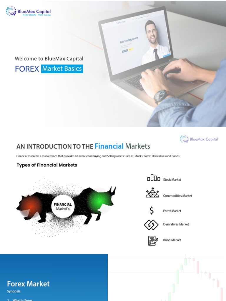 Bluemax Intro | PDF | Foreign Exchange Market | Order (Exchange)