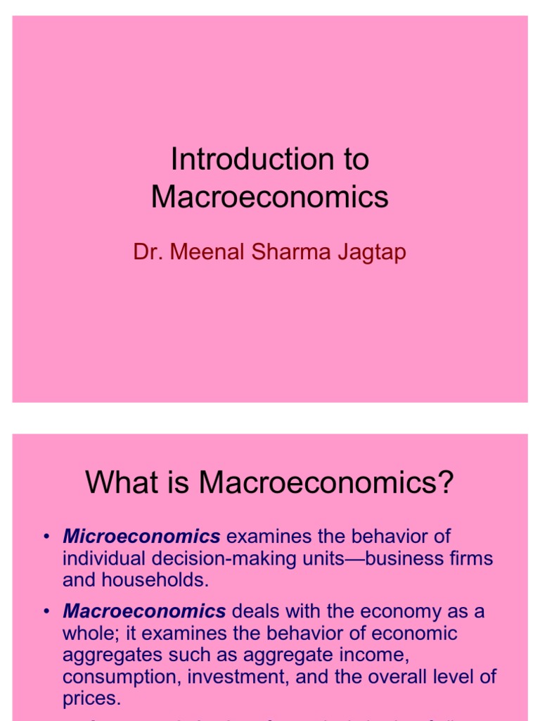 Introduction To Macroeconomics | PDF