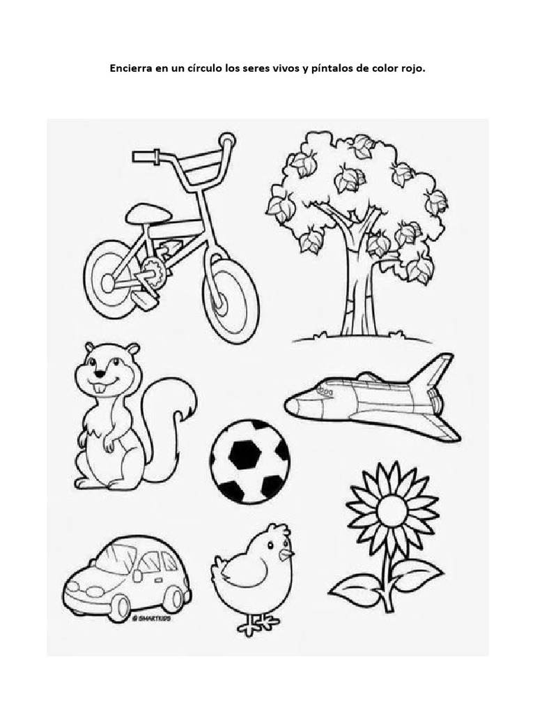 Act.2 Cs Naturales | PDF