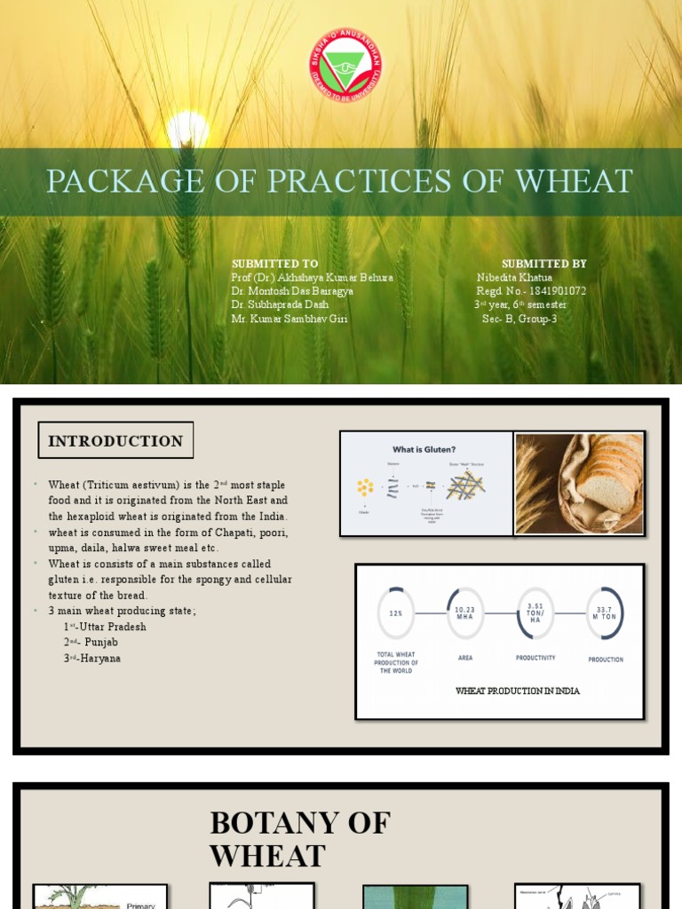 Package of Practices in Wheat | PDF