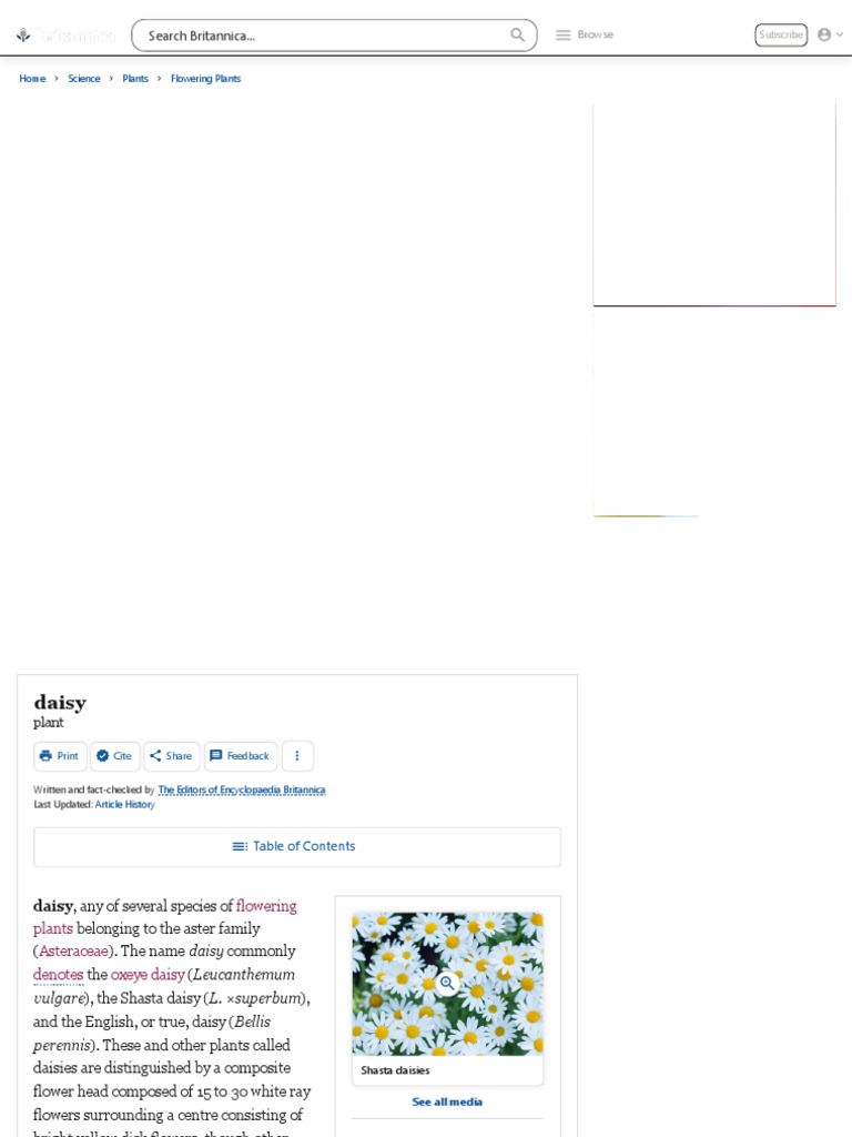 Daisy - Description, Types, Examples, & Facts - Britannica | PDF ...