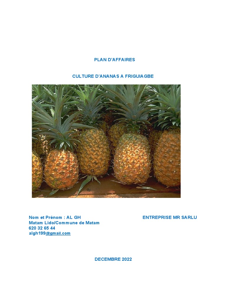 Plan d'Affaires pour Culture d'Ananas | PDF | Agriculture | Business
