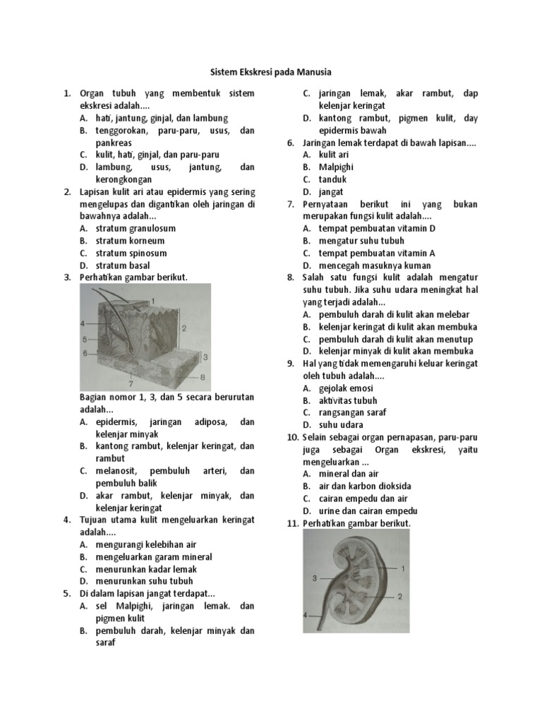 Fungsi dan Struktur Sistem Ekskresi | PDF