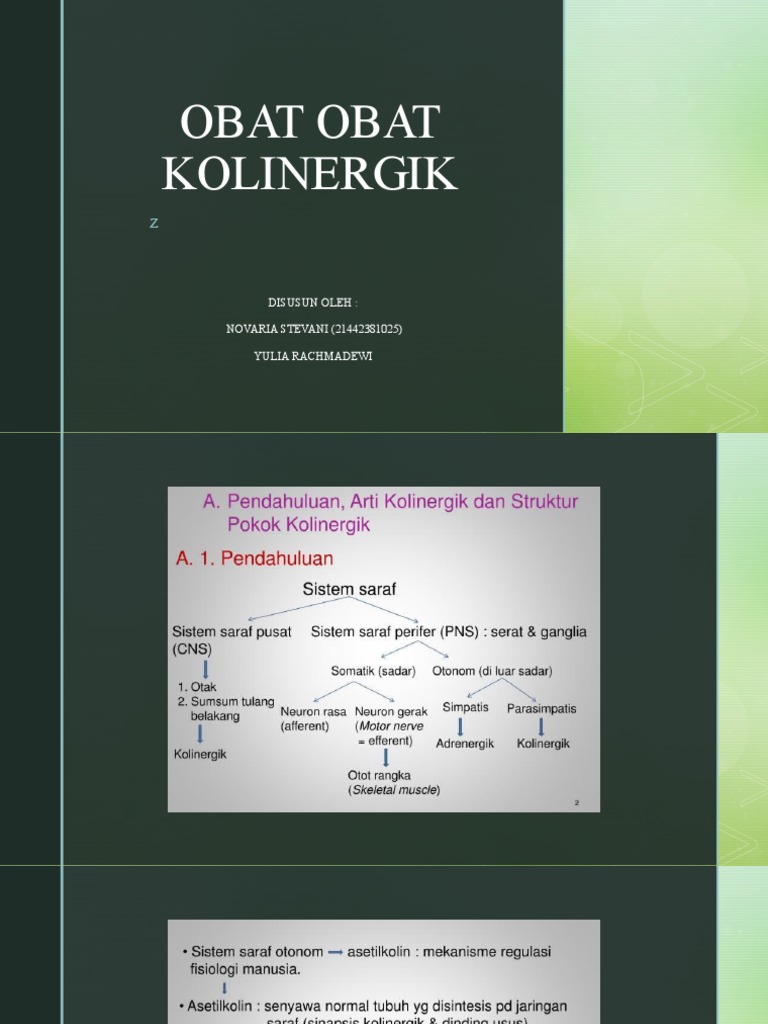 Obat Kolinergik dan Efeknya | PDF | Kesehatan Holistik