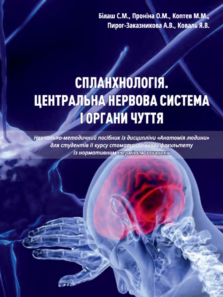 S Plan Chnology 1 | PDF