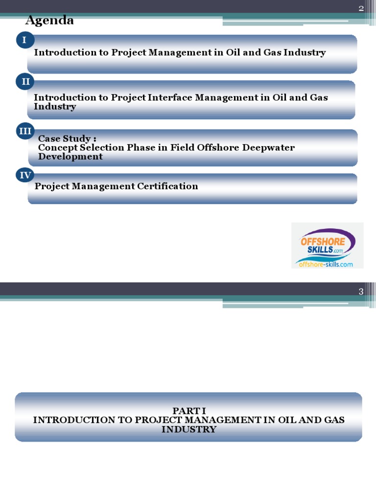 Project Management in Oil & Gas Industry | PDF | Project Management ...