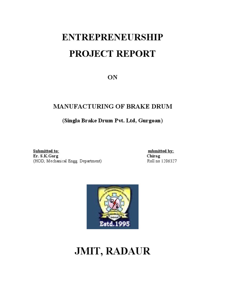 Entrepreneurship Project Report: Jmit, Radaur | Download Free PDF ...