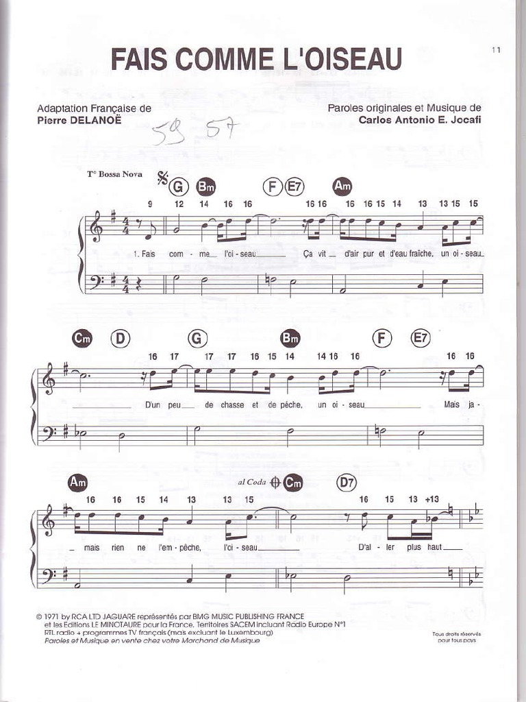 Fais Comme L'oiseau | PDF