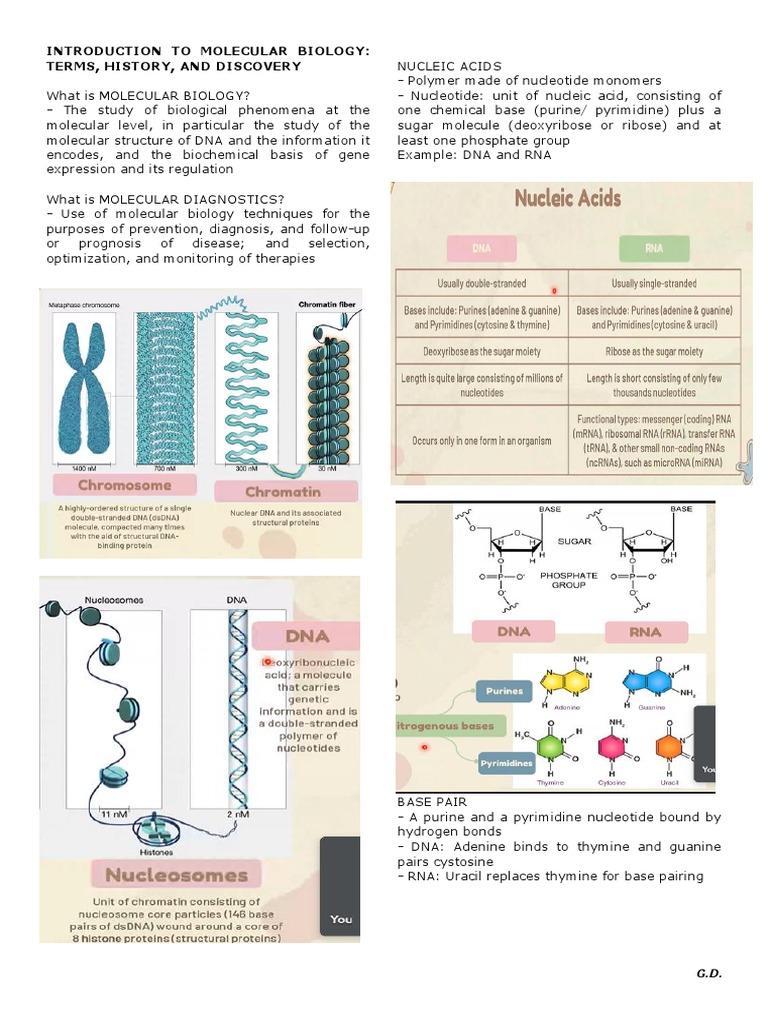 Introduction To Molecular Biology | Download Free PDF | Gene | Dna