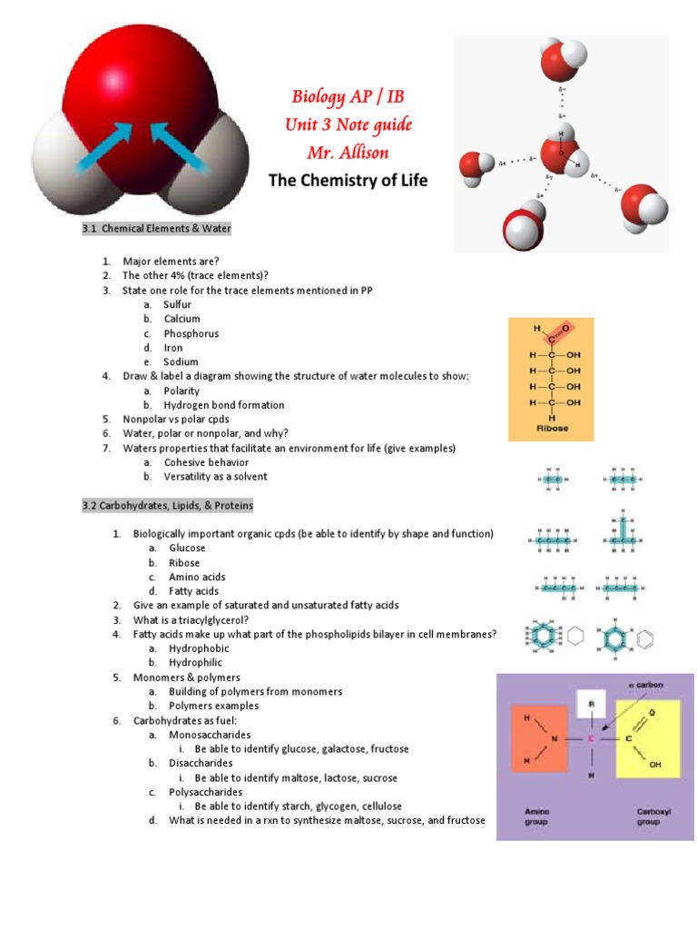 The Chemistry of Life | PDF | Translation (Biology) | Nucleotides