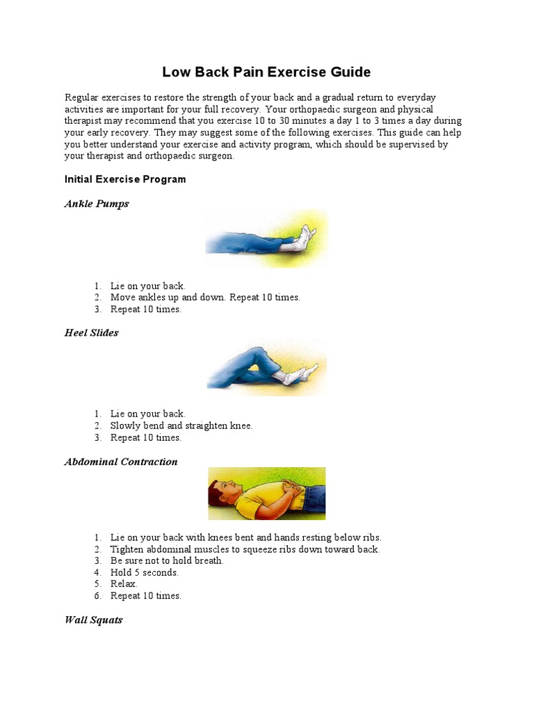 Low Back Pain Exercise Guide | PDF | Anatomical Terms Of Motion | Knee