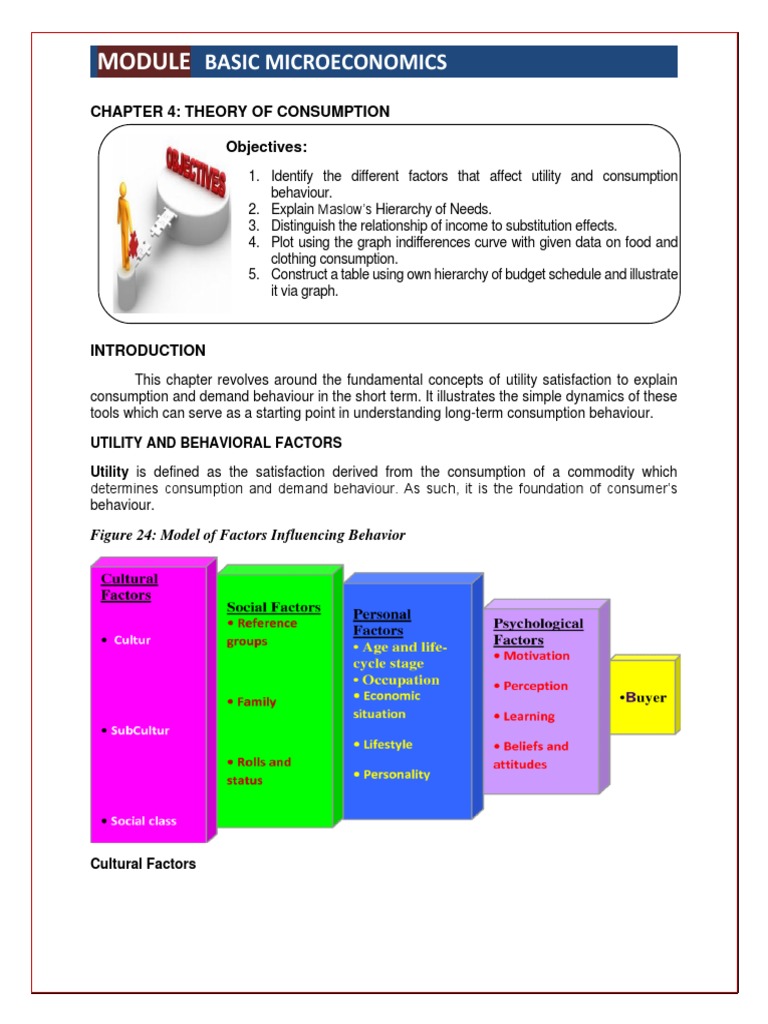 Chapter 4 - Theory of Consumption | PDF