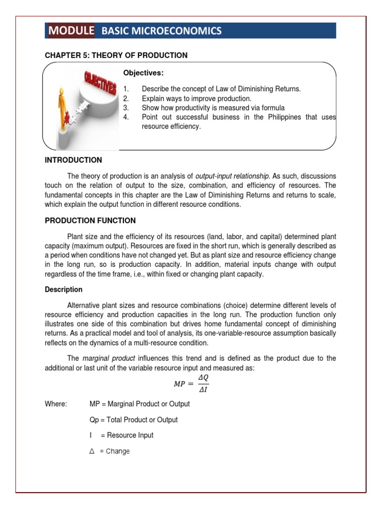 Chapter 5 - Theory of Production | PDF | Production Function | Labour Economics