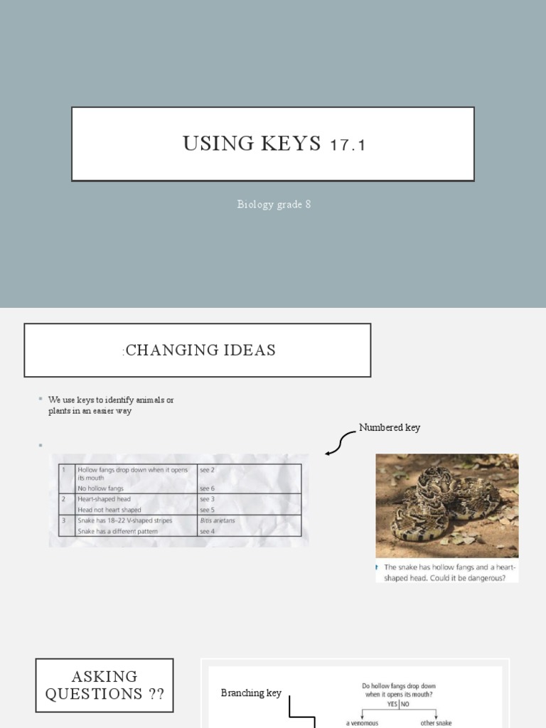 Designing Effective Identification Keys Through Question Based