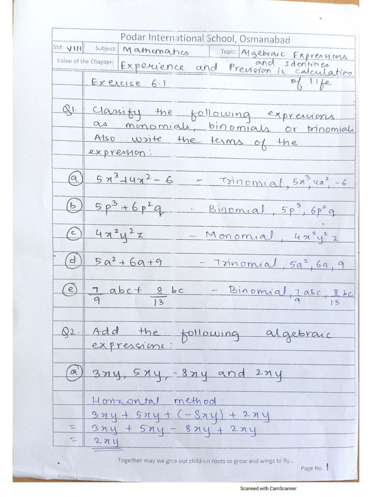 Piyush Maths Test Book | PDF