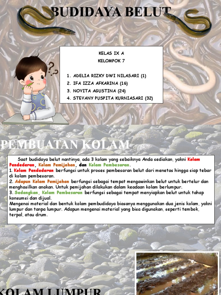 Panduan Budidaya Belut | PDF