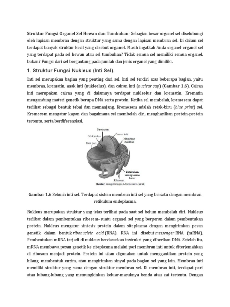 Organel Sel: Fungsi dan Struktur | PDF